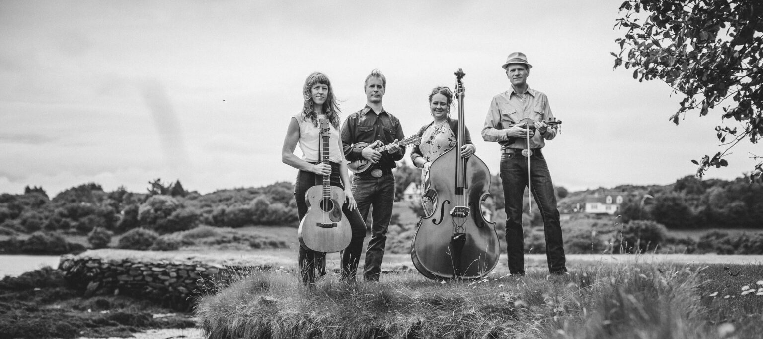 Foghorn Stringband - FLi Artists